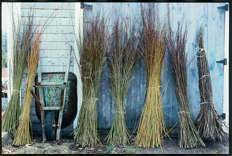 How to Build a Coracle Boat – Mother Earth News